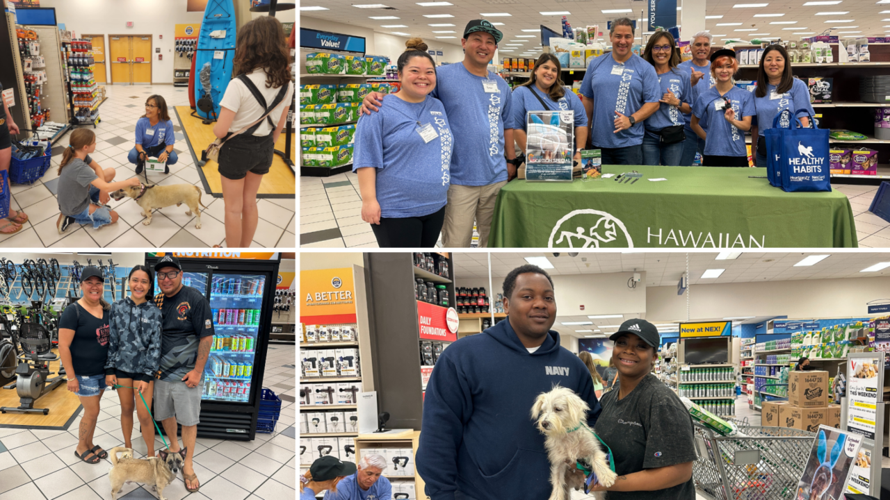 Atlas Employees Volunteer with the Hawaiian Humane Society at the NEX ...